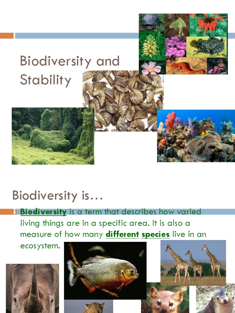 Biodiversity and Stability | PDF | Biodiversity | Ecosystem