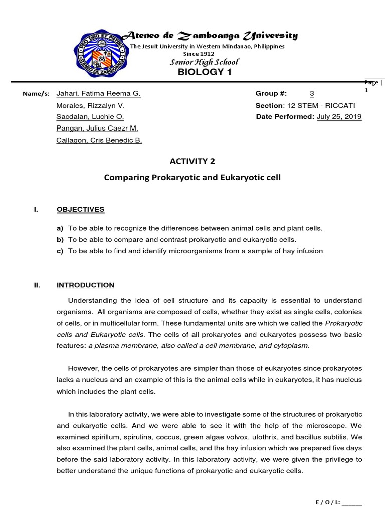 Comparing Prokaryotic and Eukaryotic Cell | PDF | Eukaryotes | Cell ...