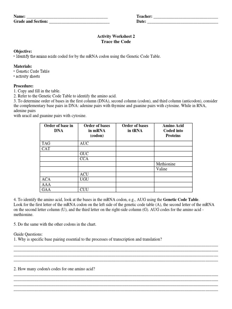 Activity Worksheet 2 PDF | PDF | Genetic Code | Messenger Rna