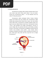 Death Conception FIX | PDF