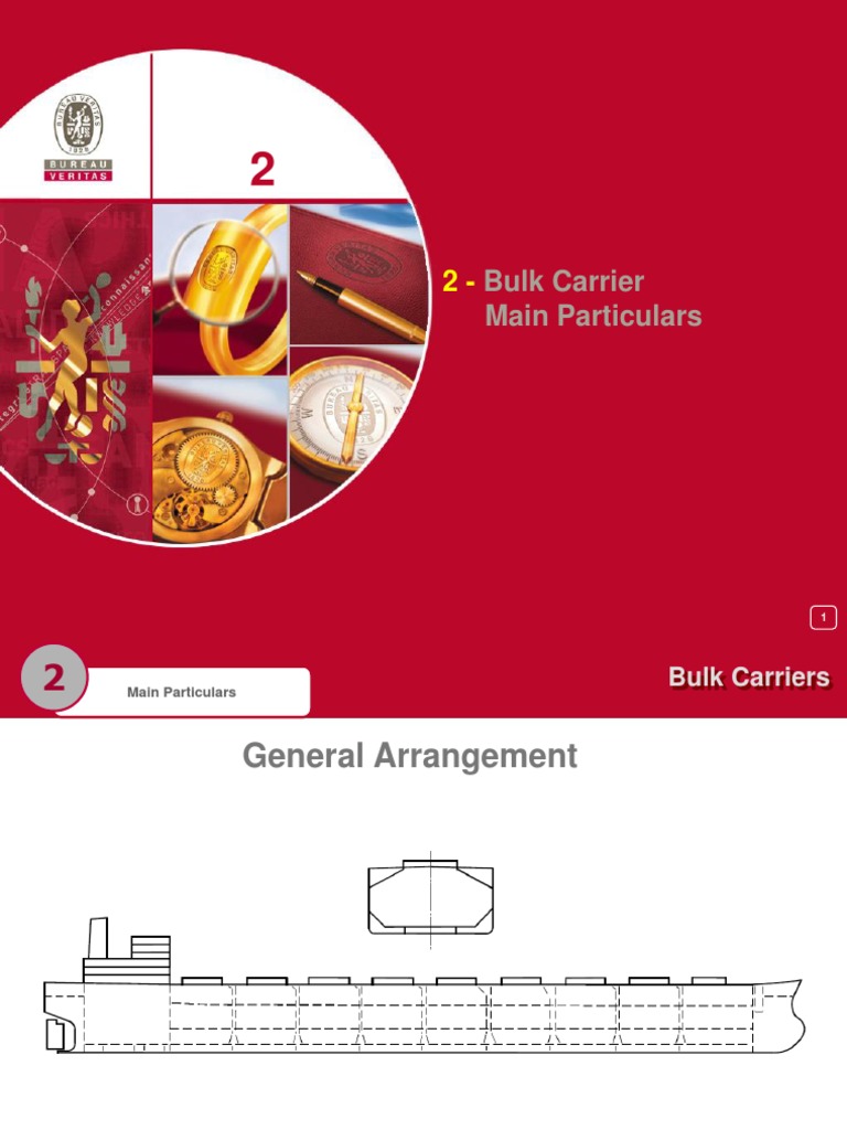 2 2 Bulk Carrier Main Particulars | PDF | Ships | Watercraft