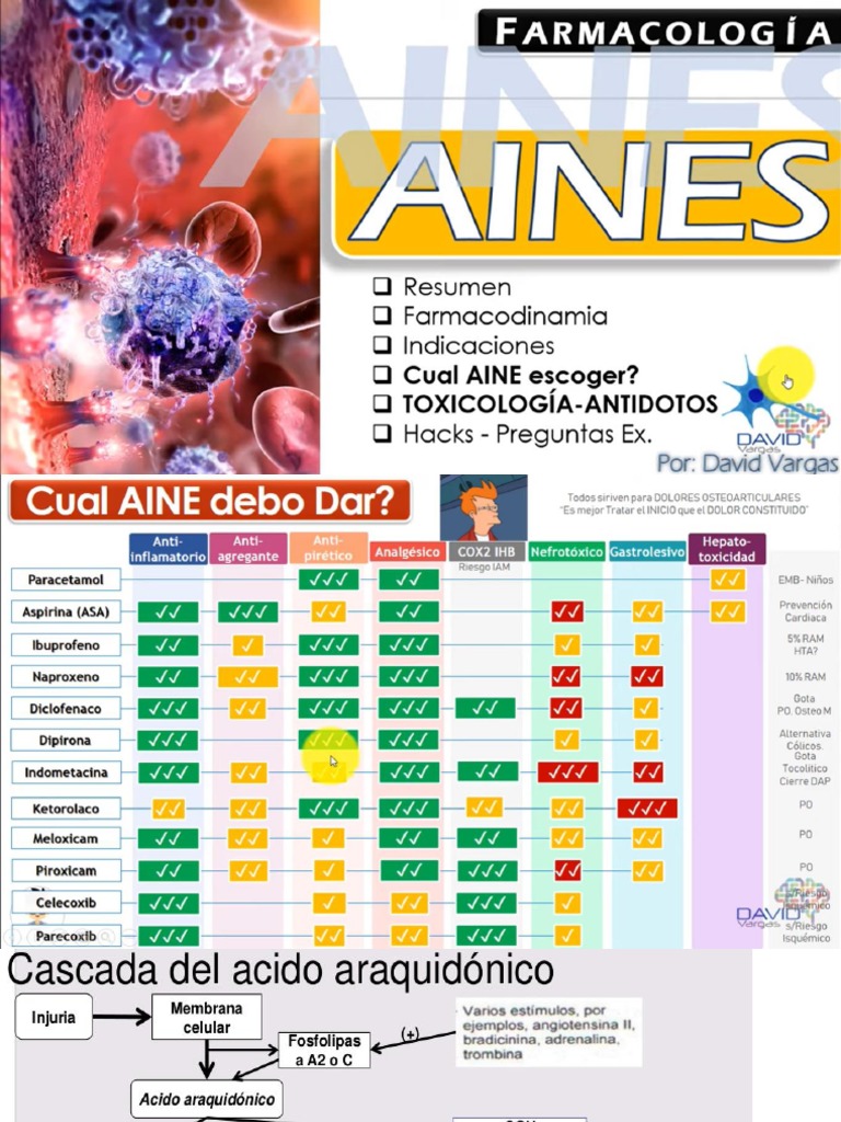 AINES | PDF | Salud y bienestar