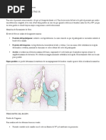 PALESTESIA Definicion y Exploración | PDF | Mano | Sistema ...