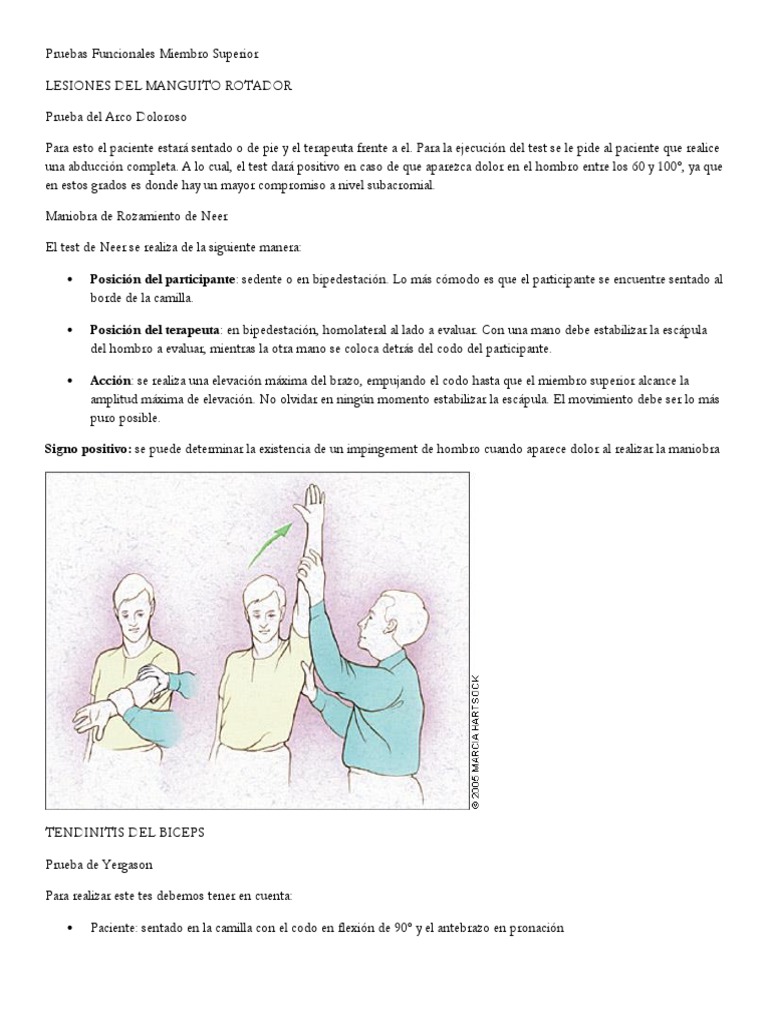 Pruebas funcionales hombro y codo | PDF | Mano | Hombro