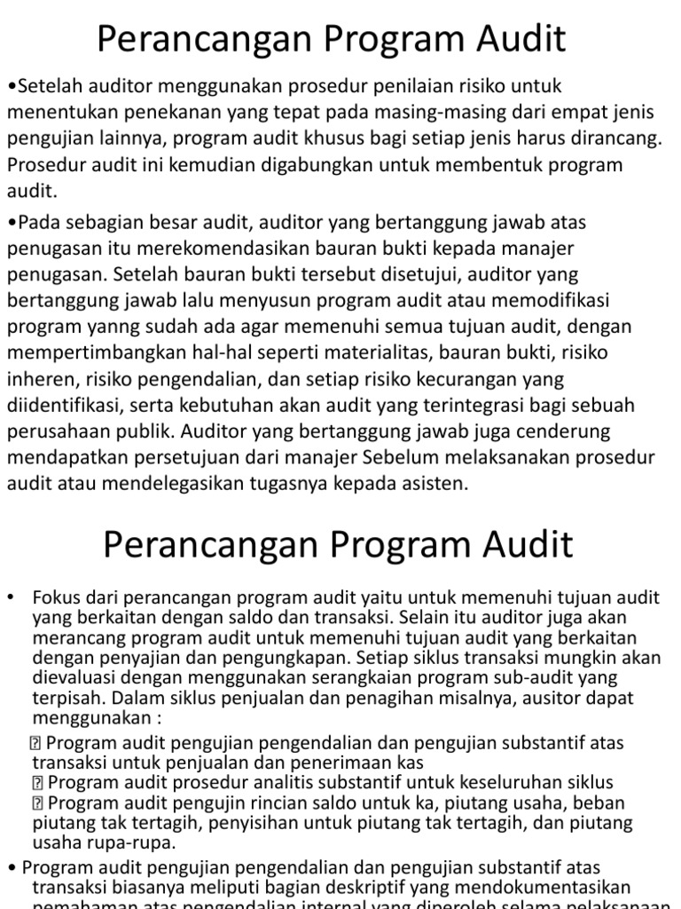 Perancangan Program Audit | PDF