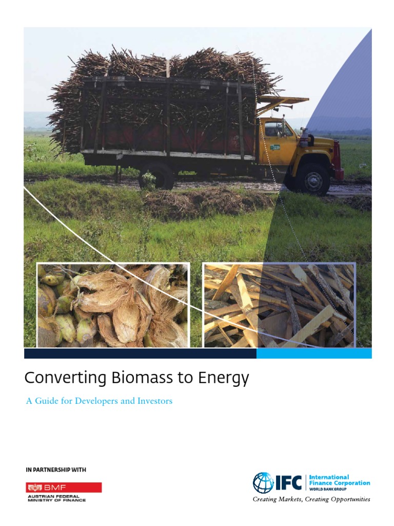 BioMass Report 06+2017 PDF | PDF | Biogas | Energy Development