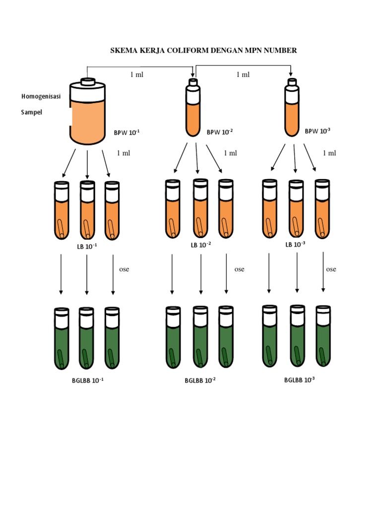 Skema Kerja Coliform Dengan MPN Number | PDF