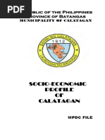 Bulacan Population Projections 2024-2027 | PDF