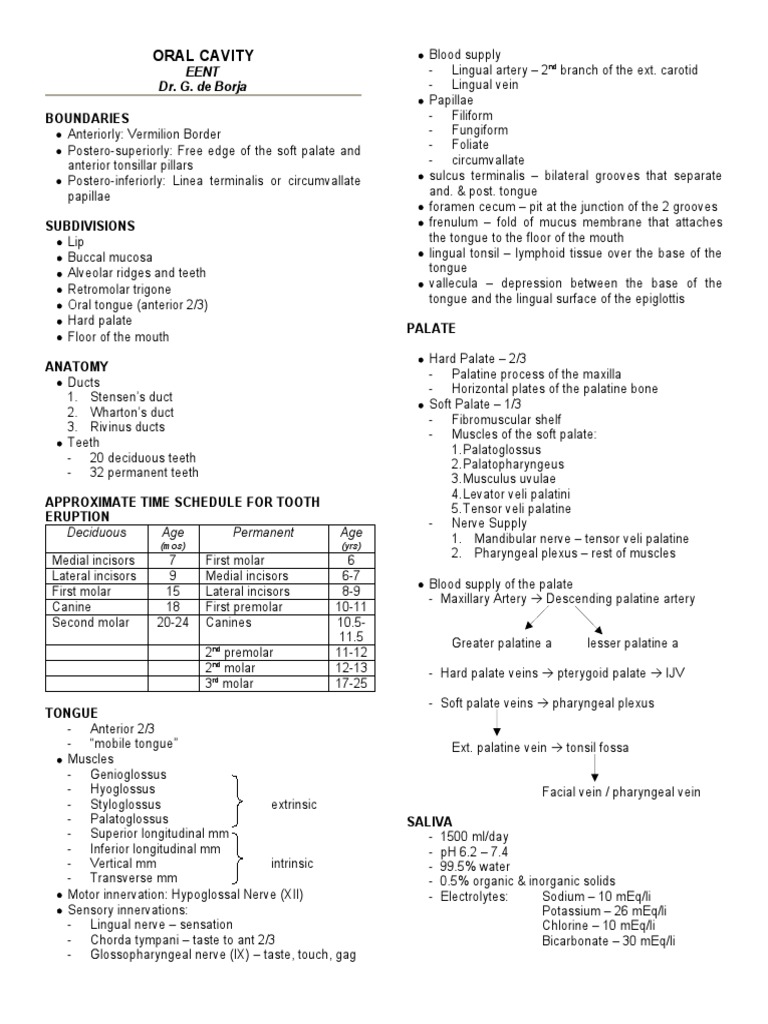 Oral Cavity | PDF | Tongue | Mouth