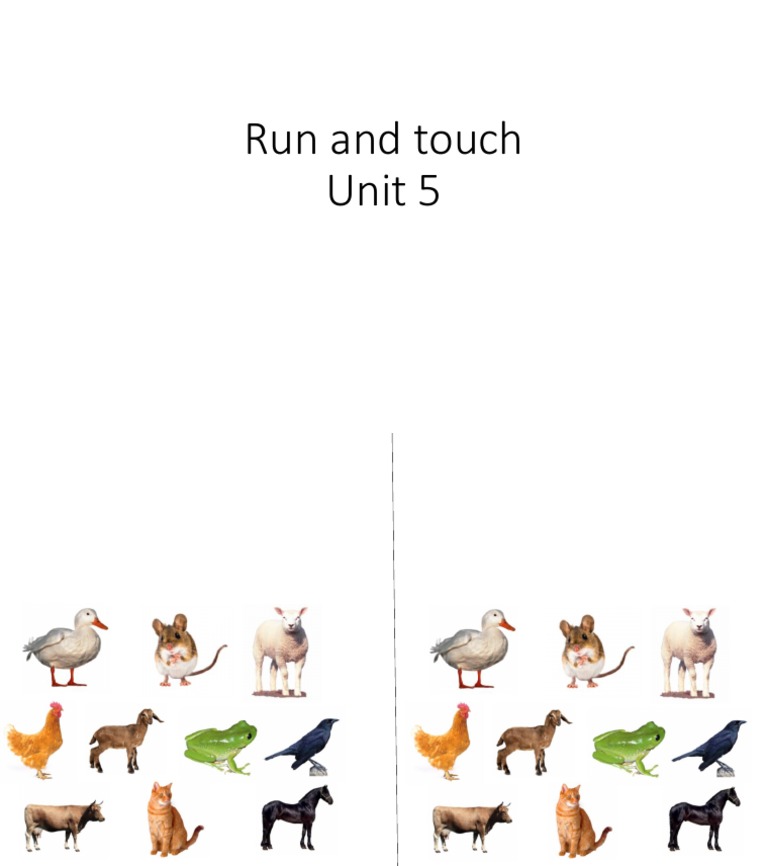 New High Five 1 | PDF