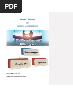 Project Report Icsi - 1 | PDF | Consolidation (Business) | Mergers And ...