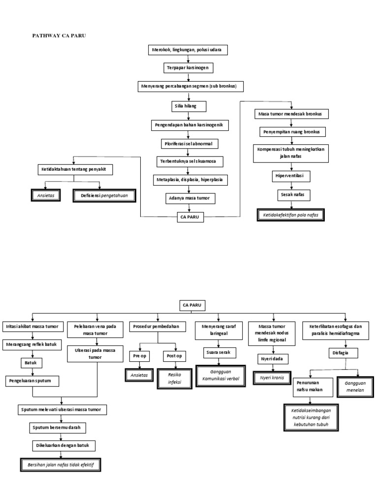 PATHWAY CA PARU Baru | PDF