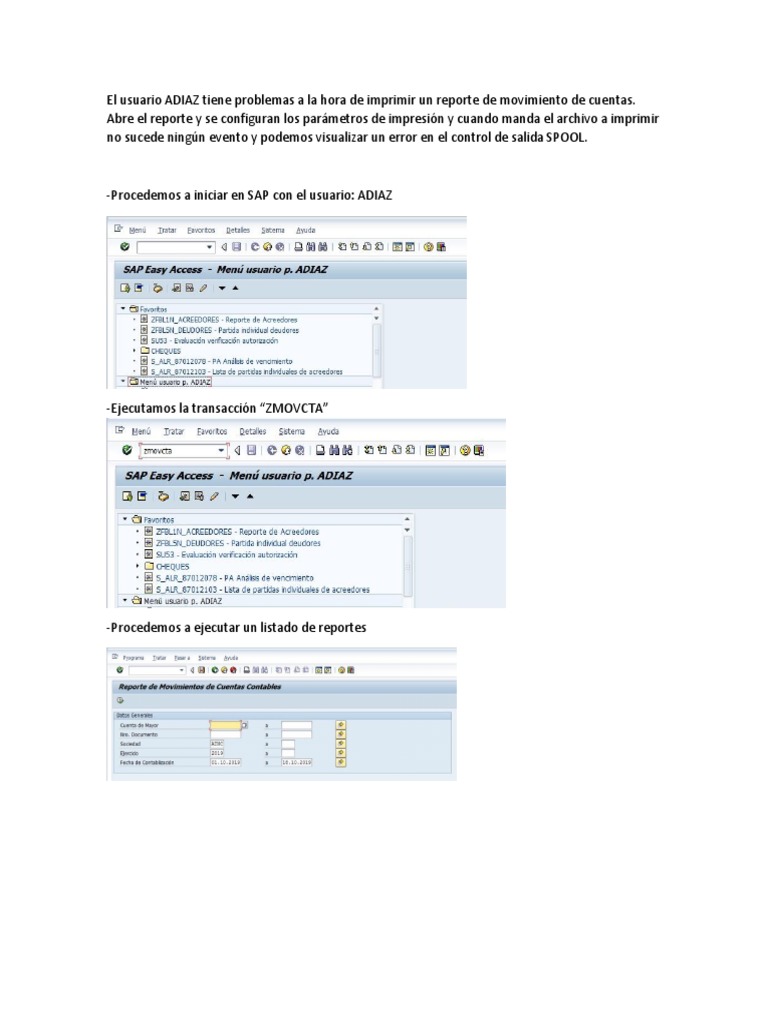 Documentacion Error de Impresion en SAP | PDF