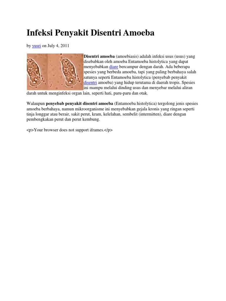Infeksi Penyakit Disentri Amoeba | PDF