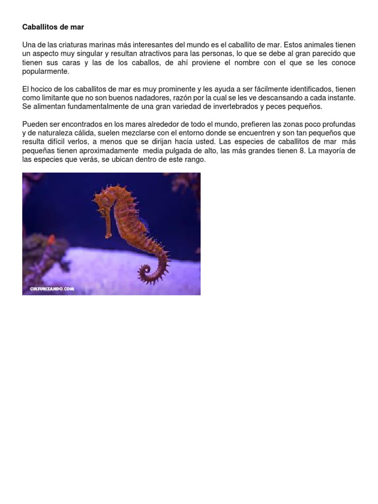 Caballitos de Mar | PDF | Organismos | Naturaleza