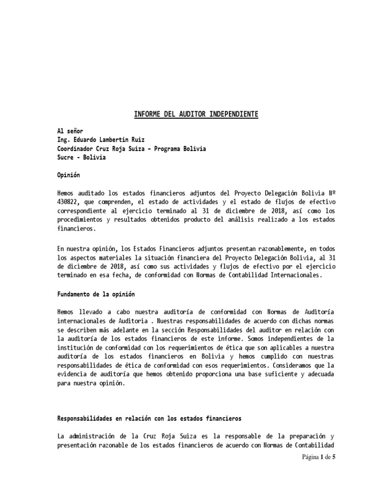 Dictamen Modelo | PDF | Auditoría financiera | Auditoría