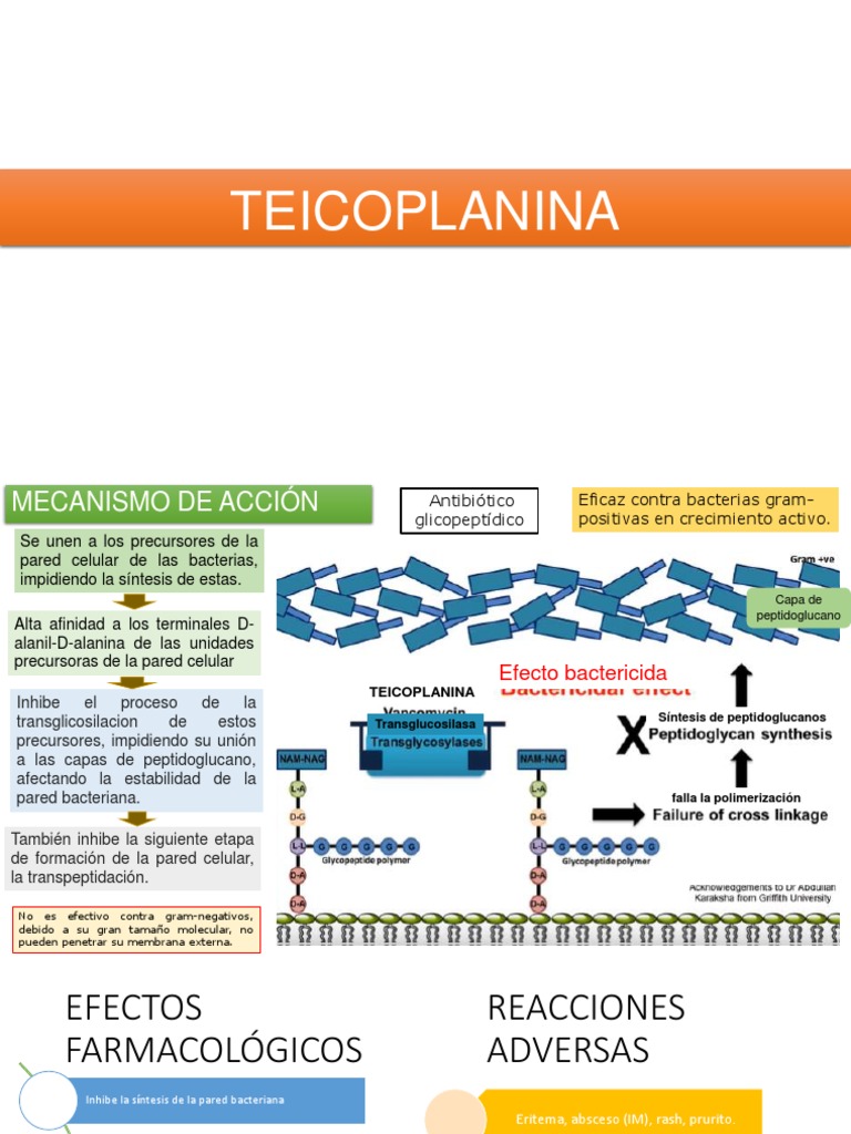 TEICOPLANINA | PDF | Bacterias Gram-negativo | Las bacterias