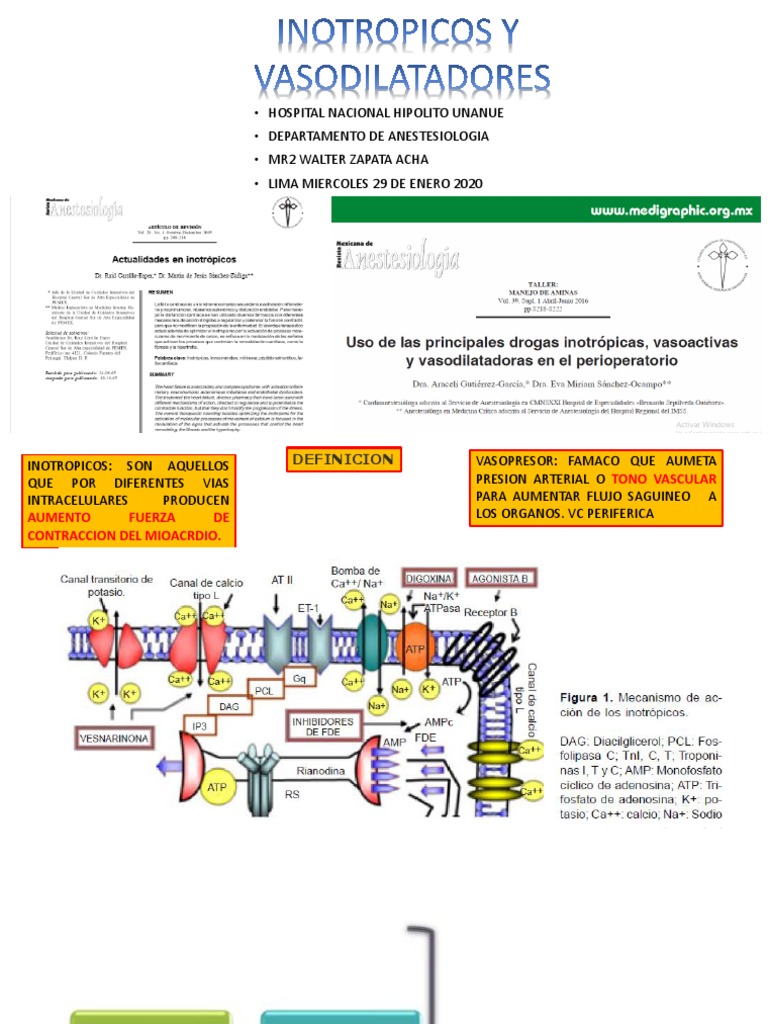 Inotrópicos y vasopresores: principios de uso | PDF | Dopamina | Corazón