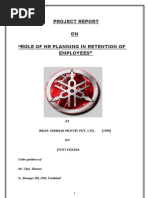 Human Resource Management Project Report | PDF | Human Resource ...