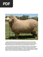 Anatomi dan Morfologi Ayam Unggas | PDF