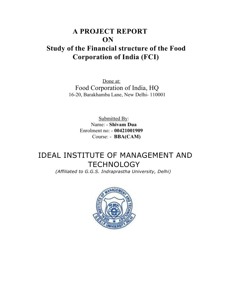 Financial Structure of FCI Report | PDF