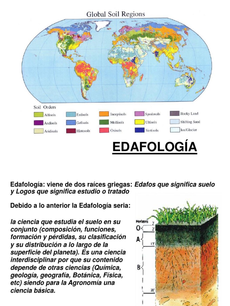 Edafologia | PDF | Suelo | Minerales