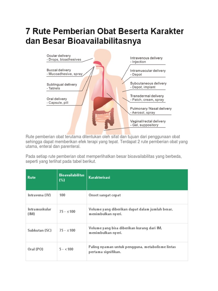 7 Rute Pemberian Obat Beserta Karakter Dan Besar Bioavailabilitasnya | PDF