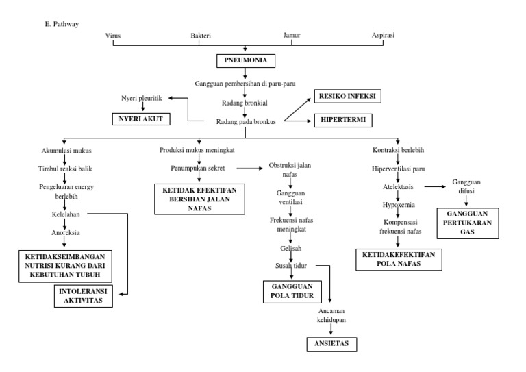 Pathway Pneumonia | PDF
