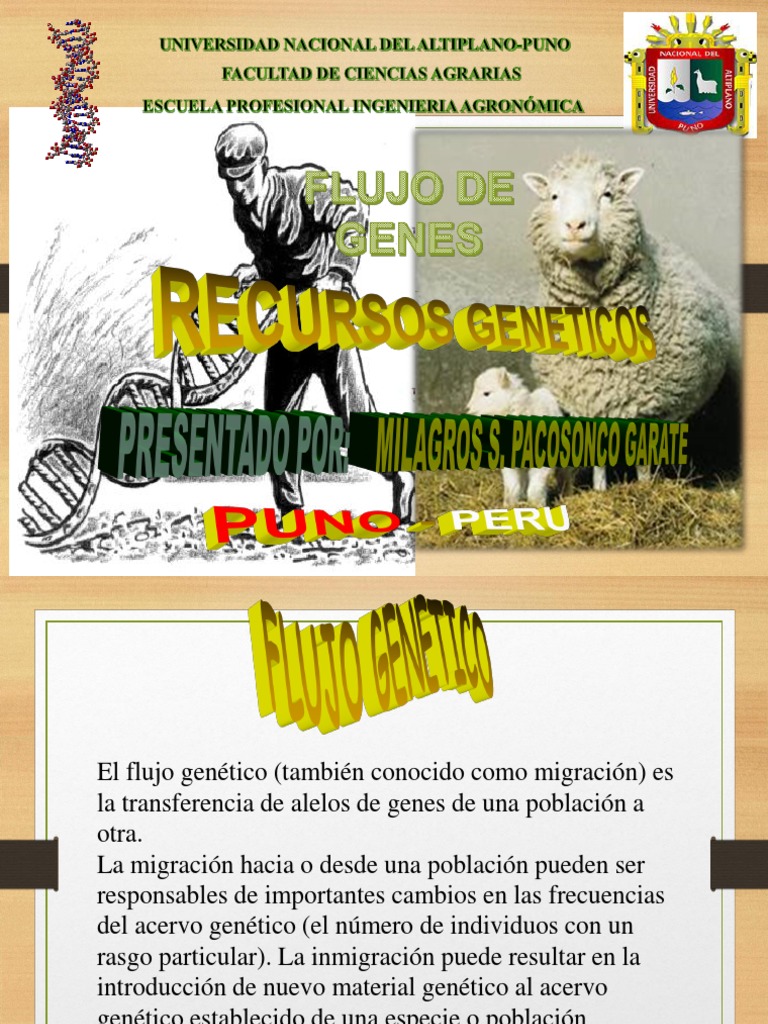 Flujo Genetico | PDF | Ciencia y matemática