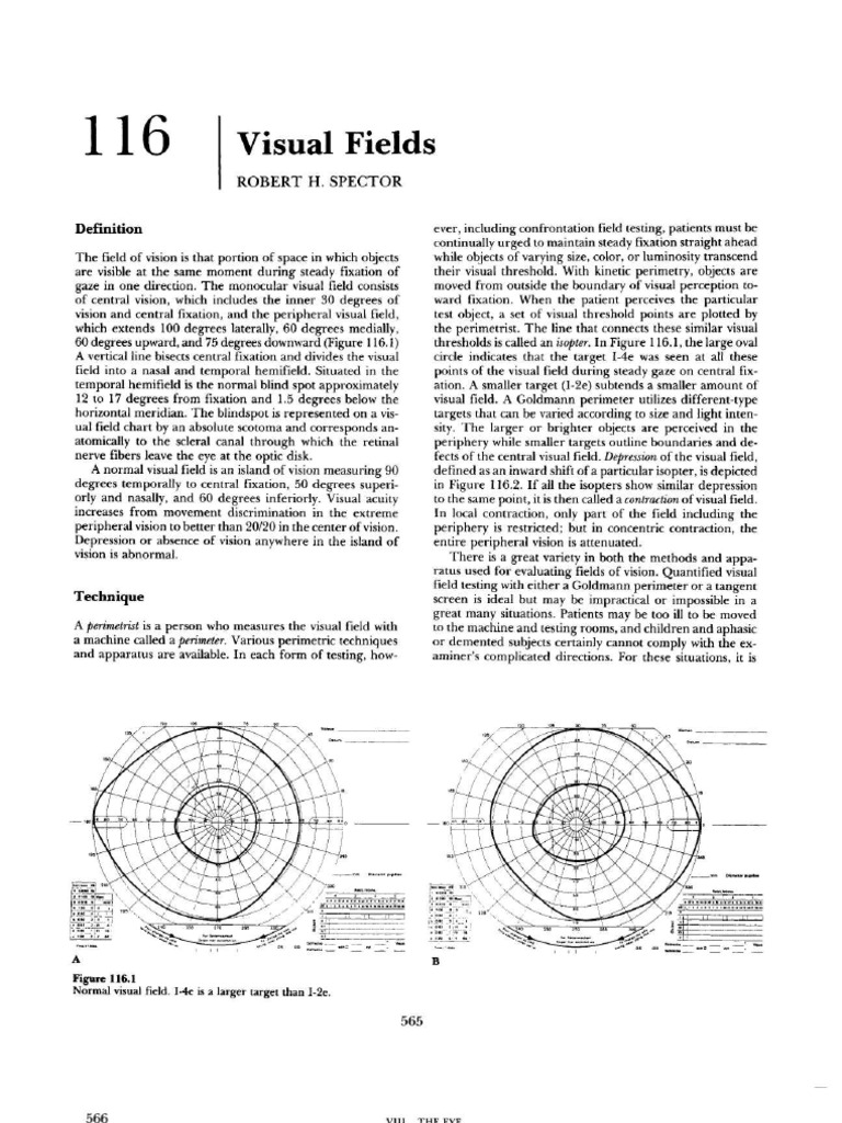 Visual Fields | PDF | Visual System | Retina