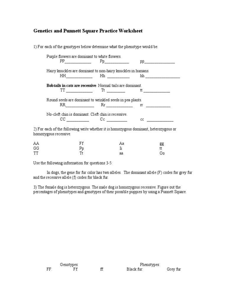 Genetics and Punnett Square Practice Worksheet | PDF | Dominance ...