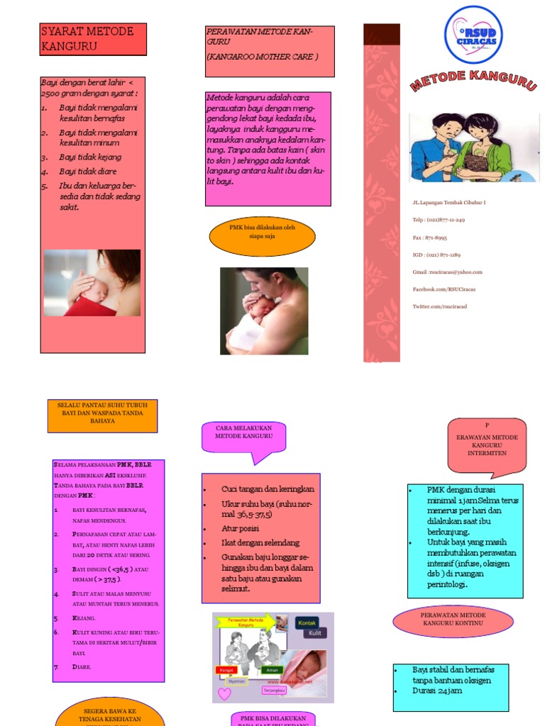 Leaflet PMK PDF | PDF