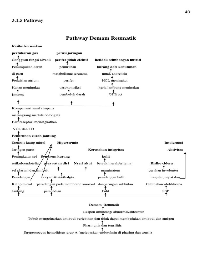 7. patHway demam rematik.docx