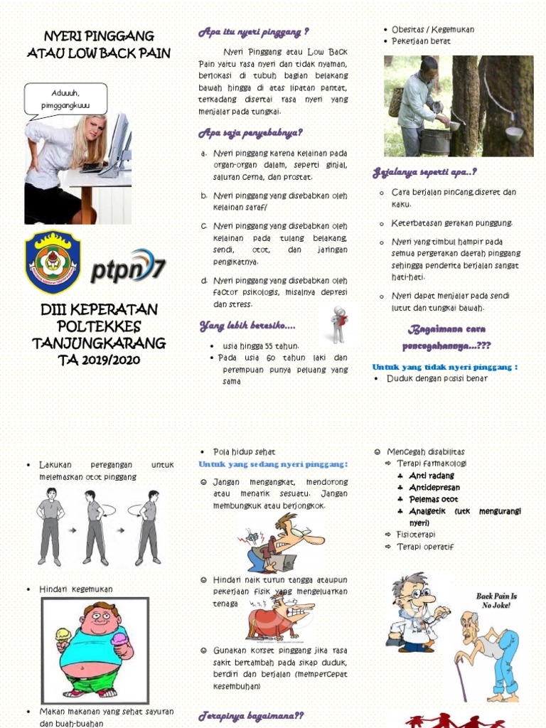 Leaflet Penyuluhan LBP | PDF