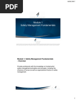 Understanding the ICAO SHELL Model | PDF