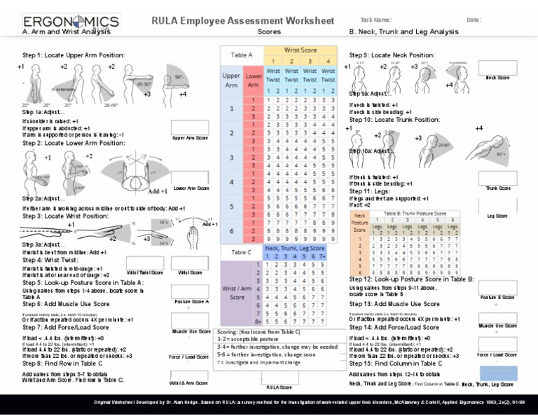 Tabel Rula | Download Free PDF | Arm | Anatomical Terms Of Motion