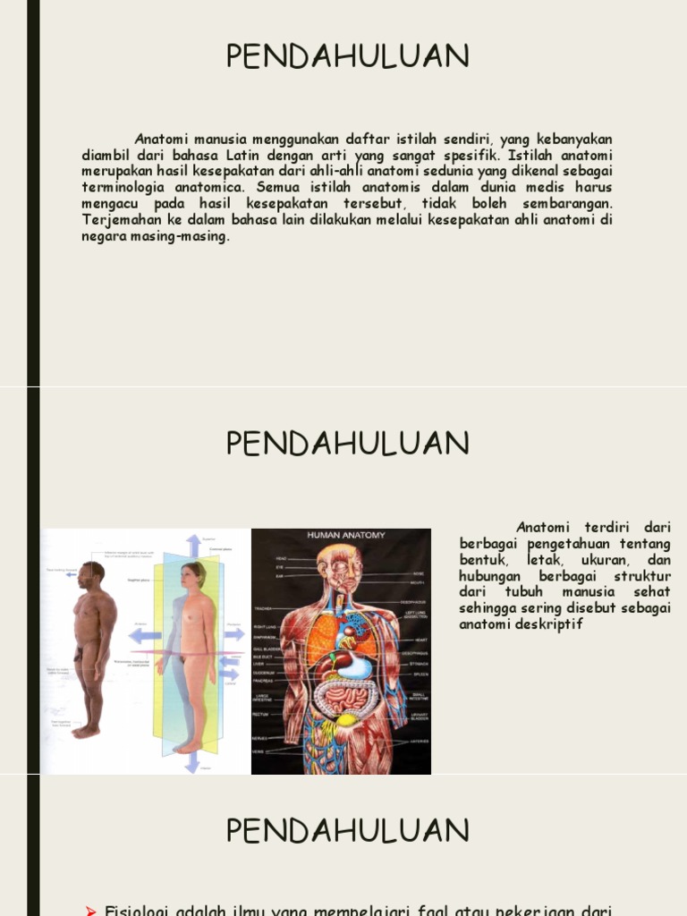 Anatomi Dan Pembagian Regio | PDF