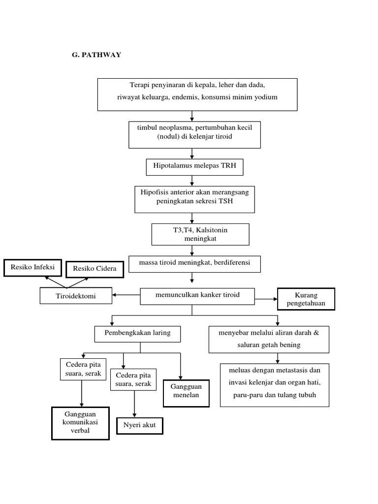 Pathway CA Tyroid | PDF