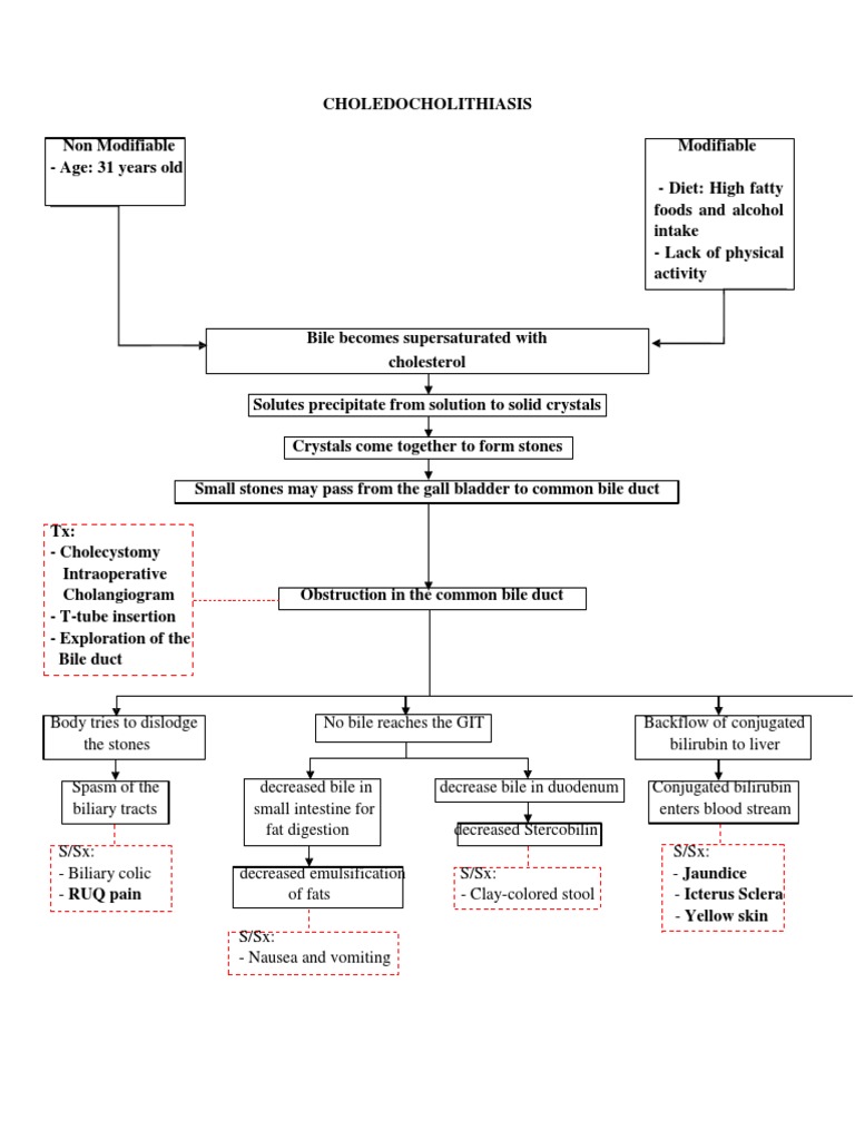 Choledocholithiasis PATHOPHYSIOLOGY