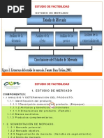 Formato Estudio de Factibilidad Actualizado | PDF | Presupuesto | Estudio de factibilidad