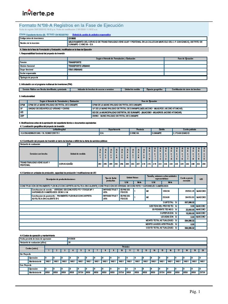 Formato - 8a - Reg. Fase de Ejecucion | PDF | Valor presente neto ...