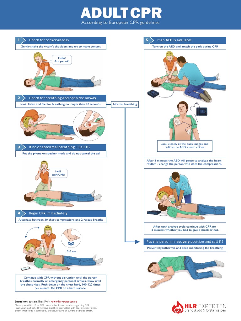 CPR Poster Adult 50x70 | PDF | Cardiopulmonary Resuscitation | Human ...