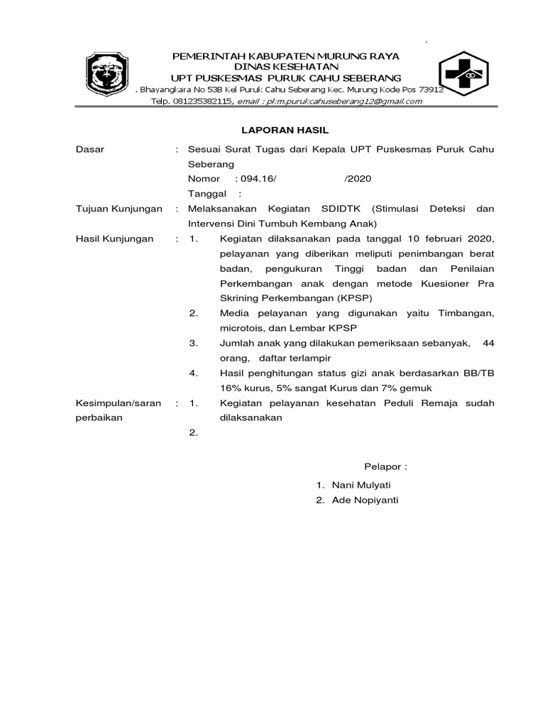 LAPORAN HASIL Sdidtk | PDF