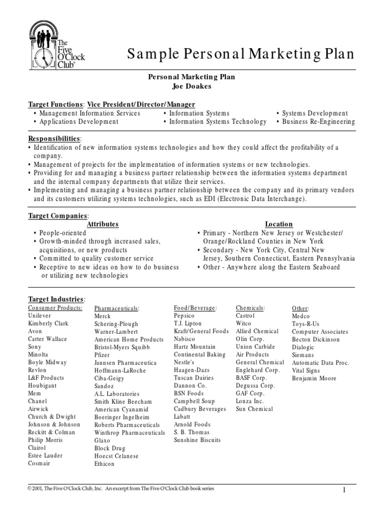 Detailed Personal Marketing Plan Example | PDF | Healthcare Industry ...