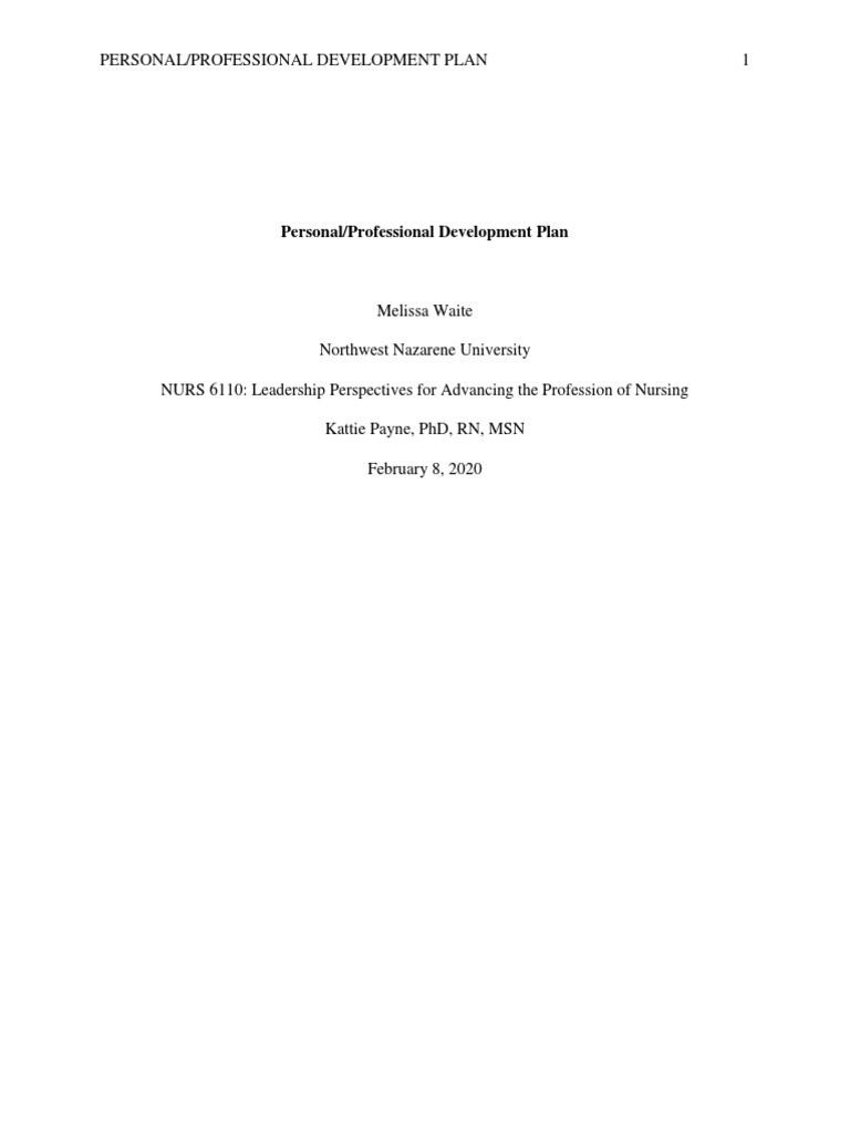 Final Nurs 6110 Personal Professional Development Plan 1 | PDF ...