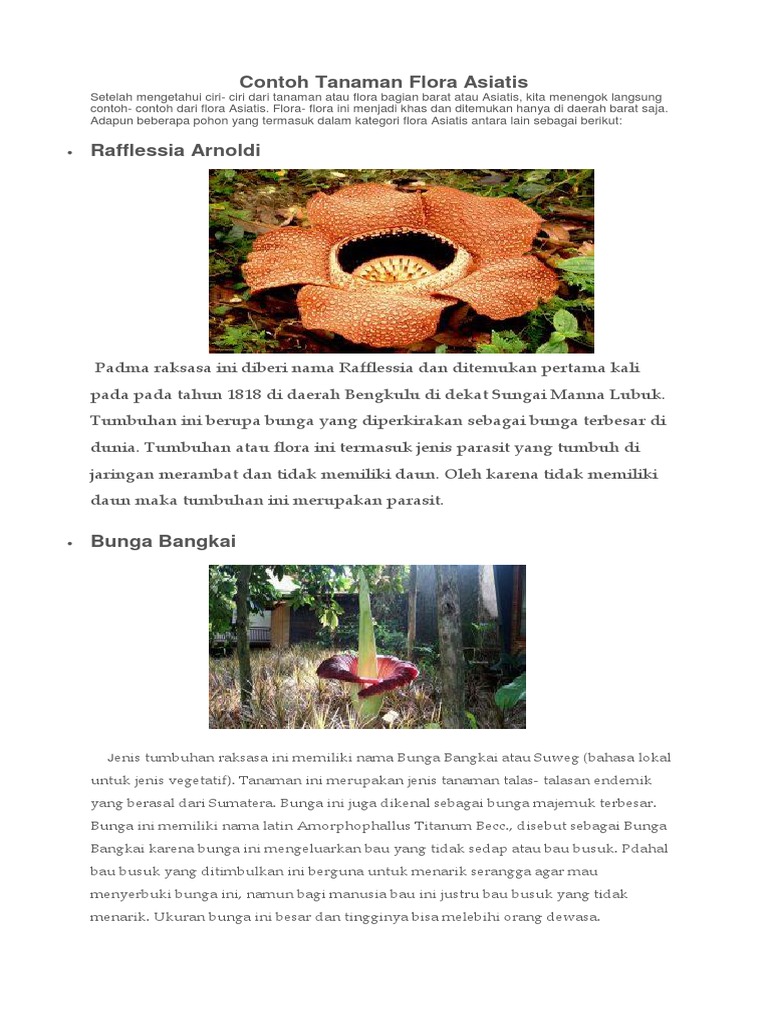 Contoh Tanaman Flora Asiatis | PDF