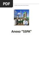 13 Directrices de Cero Tolerencia | PDF | México