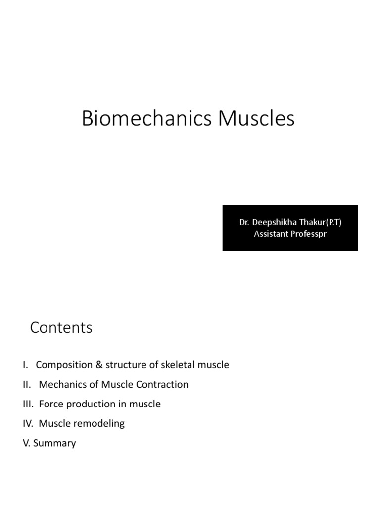 Muscle Biomechanics | PDF | Skeletal Muscle | Myocyte