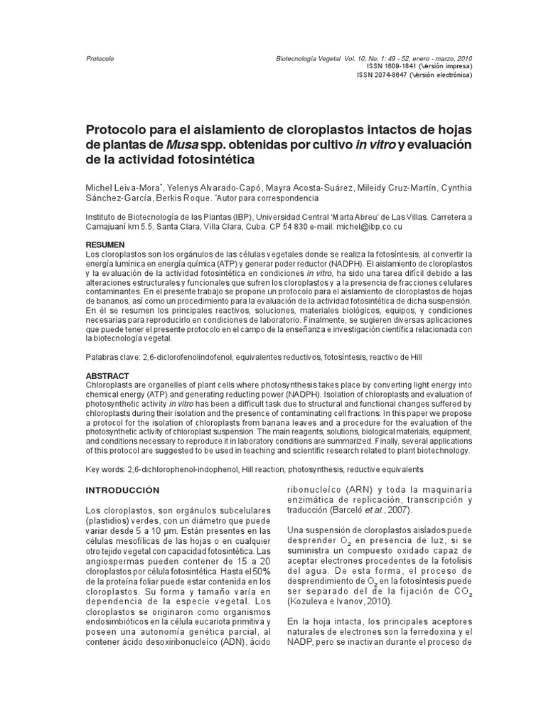 Reaccion de Hill | PDF | Fotosíntesis | Biología Celular)