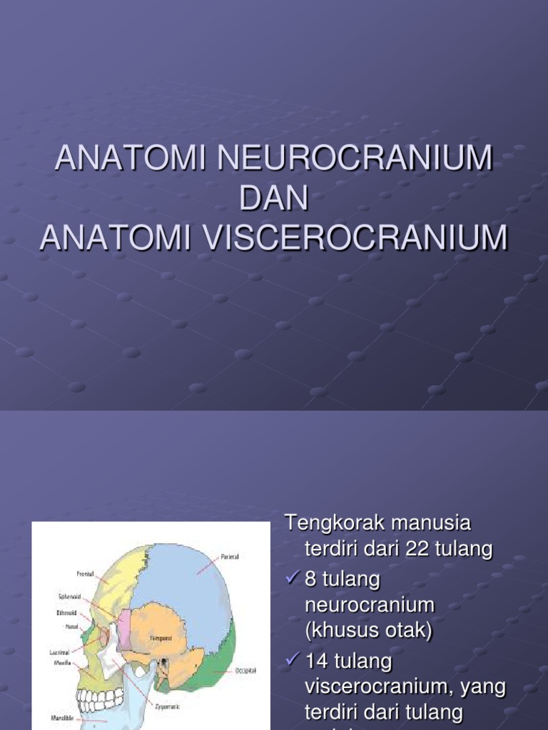 Anatomi Neurocranium | PDF